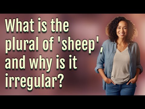 What is the plural of 'sheep', and why is it irregular?