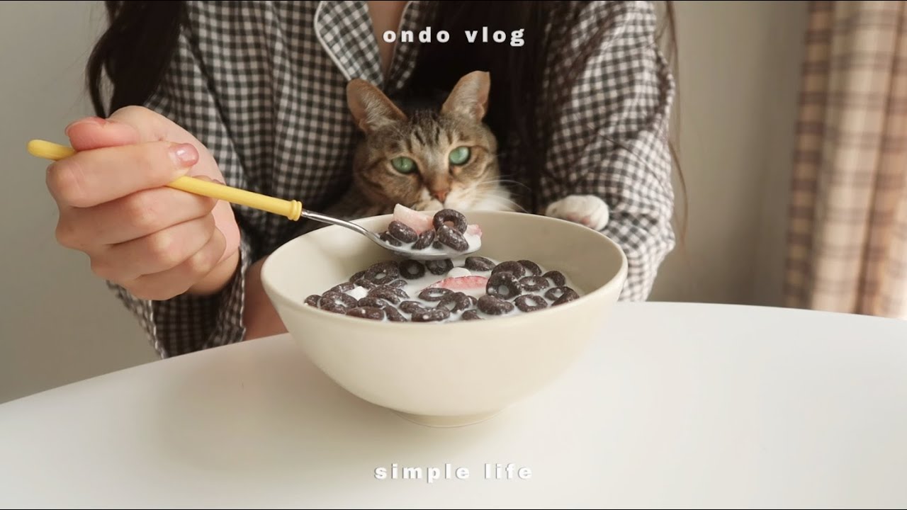 9 Aesthetic Korean Vloggers To Watch When You Need To Unwind