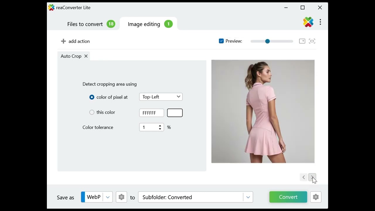 reaConverter Lite: Free and Fast Tool for Converting Graphic Formats in Bulk
