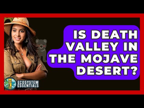 Is Death Valley In The Mojave Desert? - Ecosystem Essentials