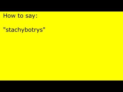 How to pronounce stachybotrys