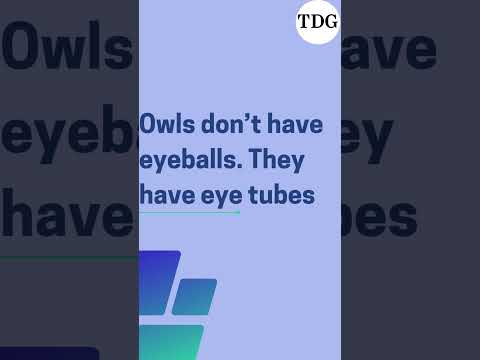 Interesting Animal facts