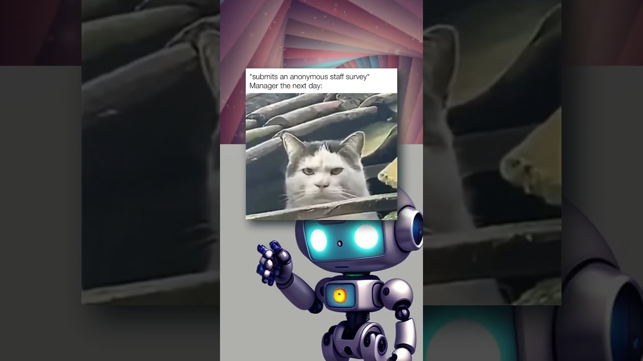 Anonymous survey at work #memes