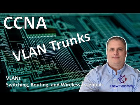 VLAN Trunks - VLANs - Switching, Routing, and Wireless Essentials - CCNA - KevTechify | vid 11