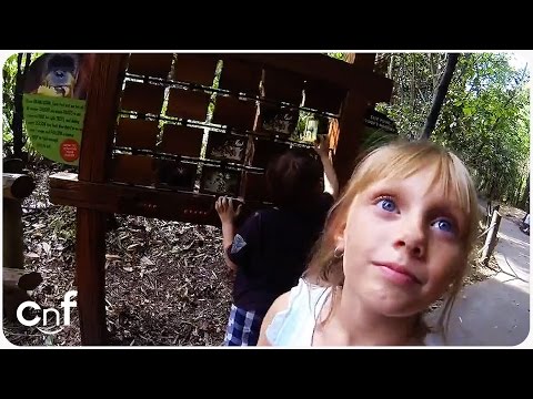 How to Pronounce Orangutan | The Speech Family