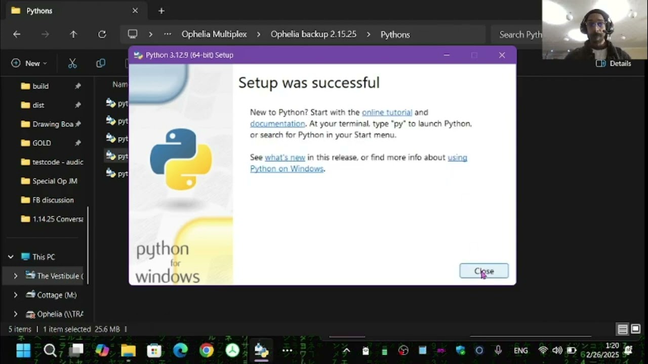 How to run multiple Python versions in Windows