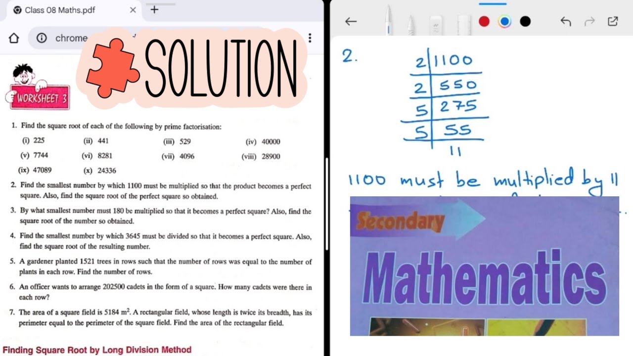 Square and Square Roots Worksheet - 3 solution 