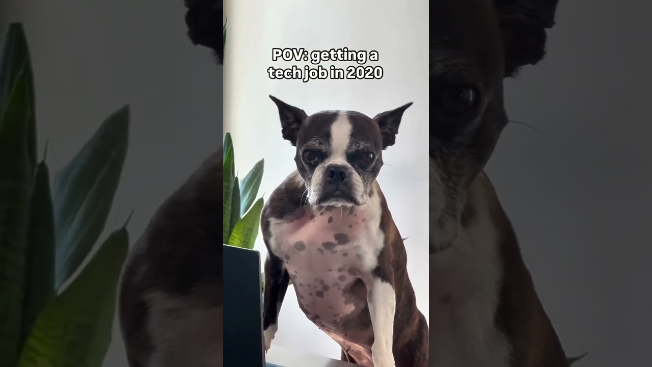 2020: “You know Python? You’re hired!” 2024: “Sorry, we’re looking for someone with 10 years of