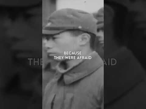 What Happened when Kamikaze Pilot Survived?