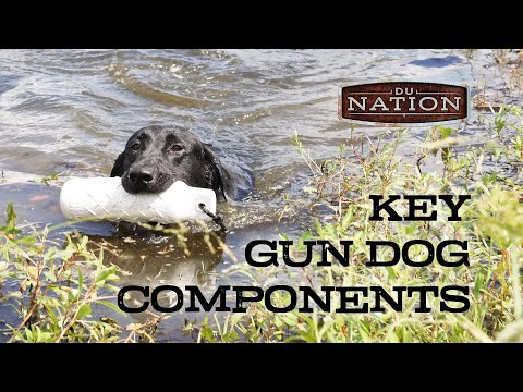 Key Gun Dog Components with River Town Retrievers | DU Nation