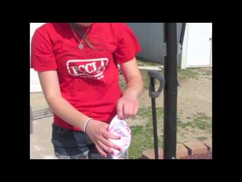 Why we love FCCLA!