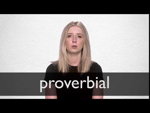 PROVERBIAL definition in American English | Collins English Dictionary