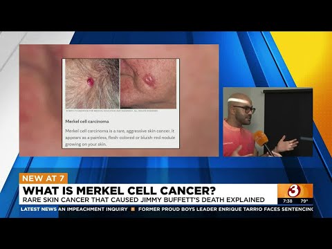 What is Merkel cell cancer?