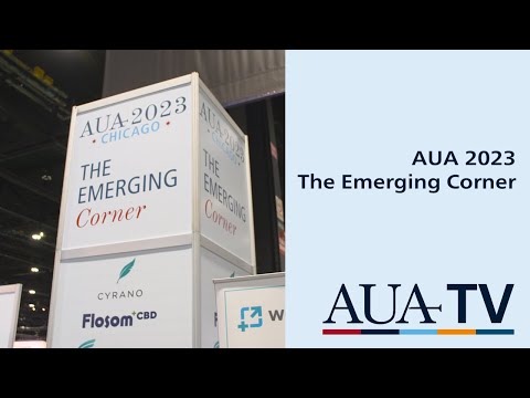 Emerging Corner at AUA 2023