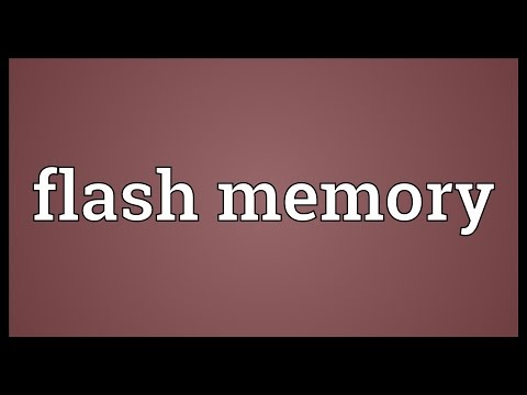Flash memory Meaning