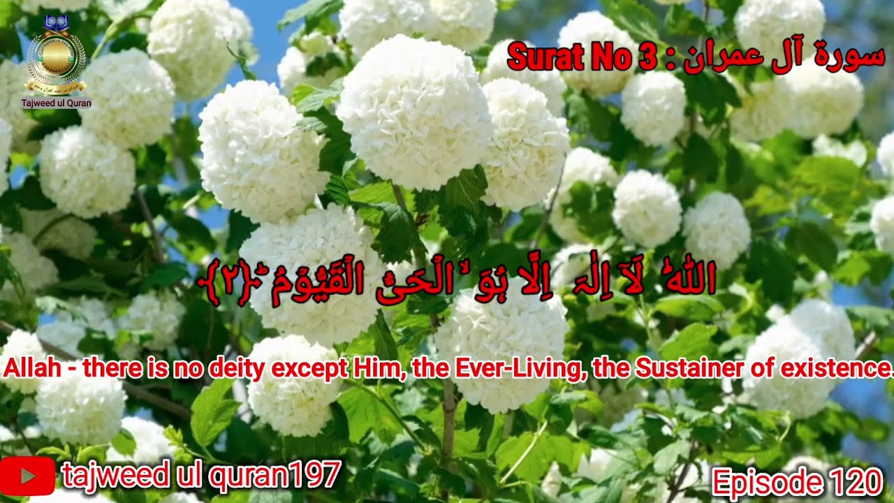 Surah Aal e Imran Full By qari hamid ul haq HD With