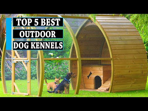Outdoor Dog Kennel: 5 Best Outdoor Dog Kennels in 2025 || You Can Buy