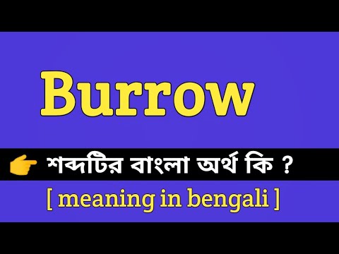 Burrow Meaning in Bengali || Burrow শব্দটির বাংলা অর্থ কি || Bengali Meaning Of Burrow