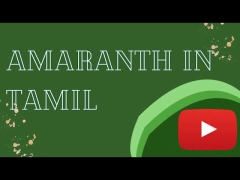 Amaranth in Tamil