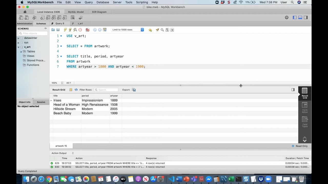 Single Table Queries Practice
