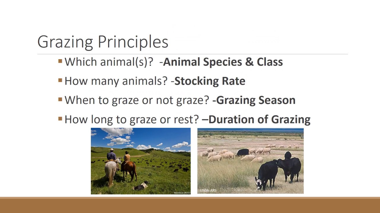 Grazing Methods