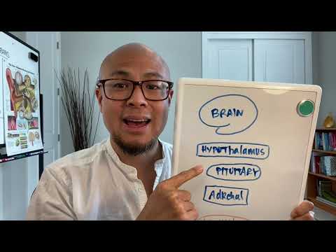 How to Use Your Mind to Strengthen Your Immunity