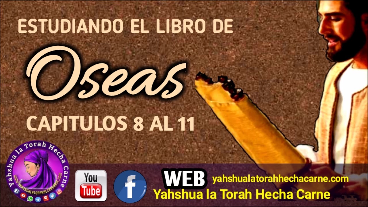 ESTUDIANDO EL LIBRO DE OSEAS CAPITULOS 8 AL 11  Yahshua la Torah Hecha Carne