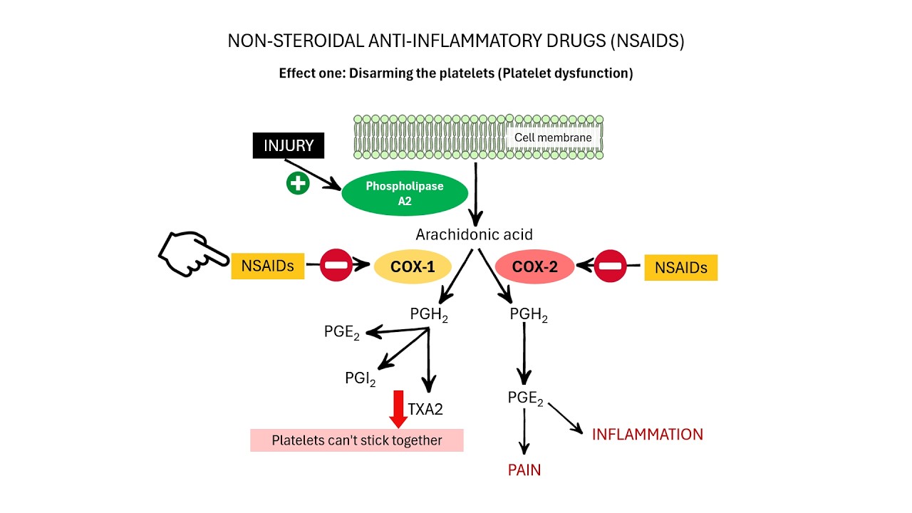 The Pharmacology of Warfarin & NSAIDs Interaction: Bleeding Risk Explained