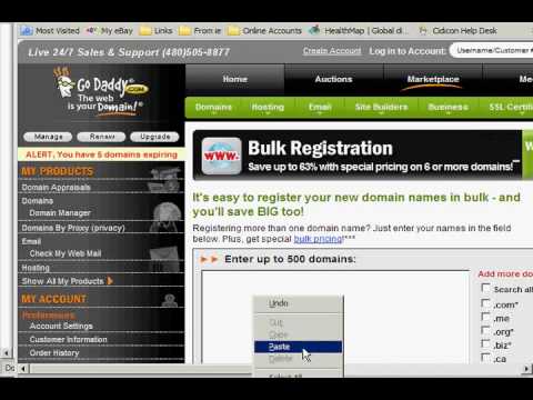GoDaddy Bulk Domain Name Lookup