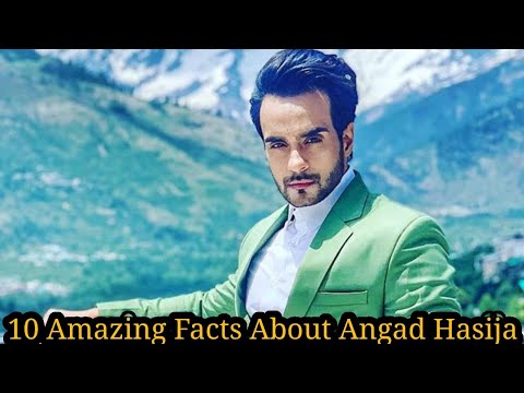10 Amazing Facts About Angad Hasija | Indian Television Actor | @Cat123._