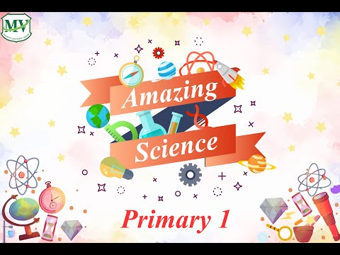 Push and Pull Science | Primary 1