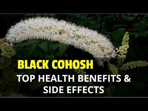 Black Cohosh - Top Health benefits & Side Effects