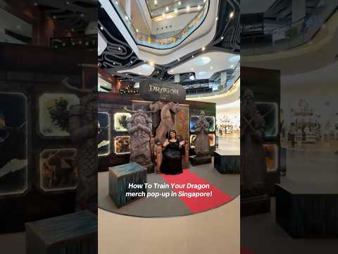 So many Toothless merch here! Full video + prices on my channel! #singaporevlog #httyd