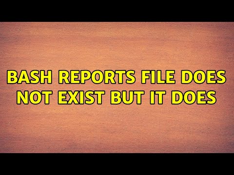 BASH reports file does not exist but it does