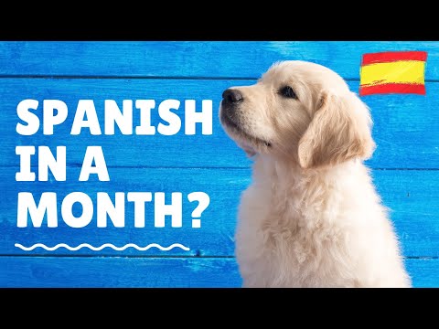 Spanish in a Month? Mastering Spanish Fast