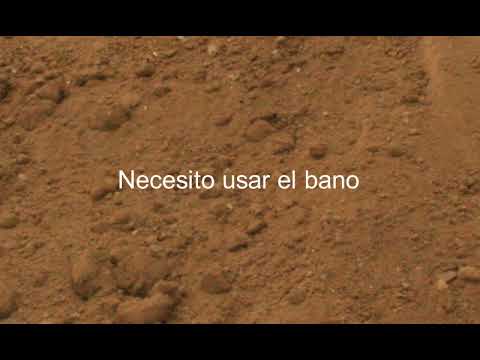 How to say I Need To Use The Bathroom in Spanish