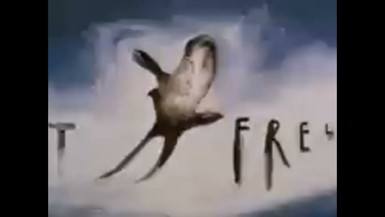 In Her Shoes (2005, Fullscreen Opening)