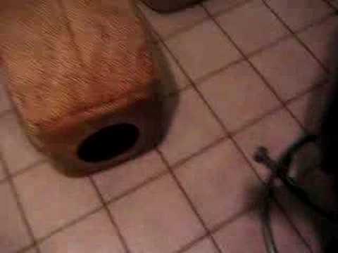 Demon Kitty