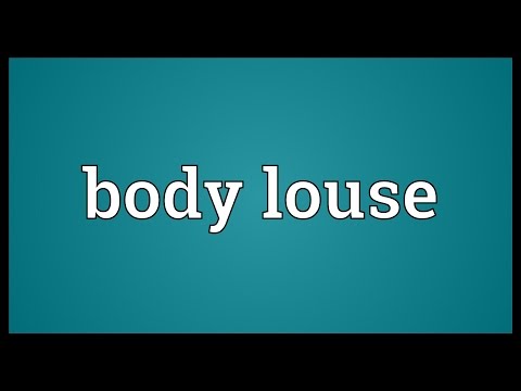 Body louse Meaning