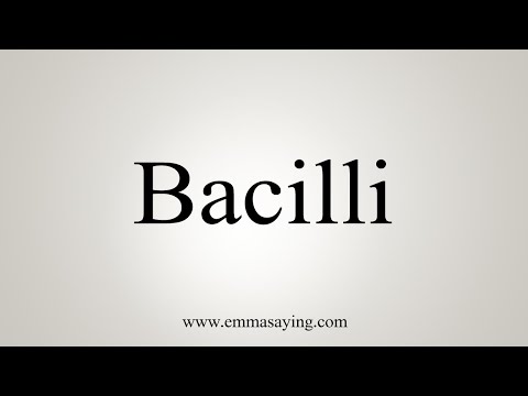 How To Say Bacilli