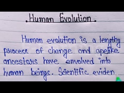 Paragraph on Human Evolution
