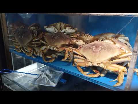 The $900.00 King Crab at "O Mandarin" Chinese Restaurant in Hicksville, NY