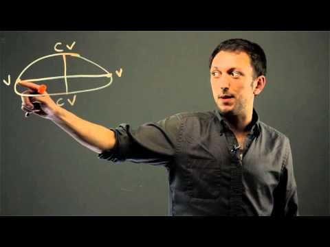 What Is the Co-Vertex of an Ellipse? : Math Solutions