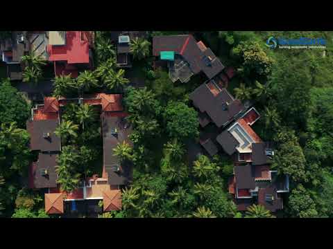 GoodEarth Palmgrove Blooming - Lush, serene and beautiful