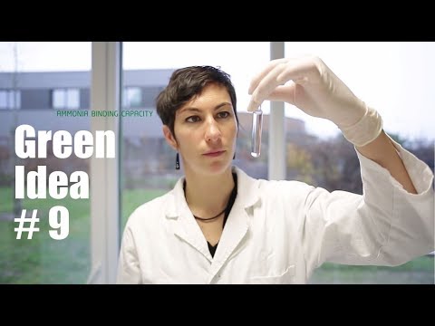 Green Ideas #9: Saponins: what type for what purpose? (subtitles available)