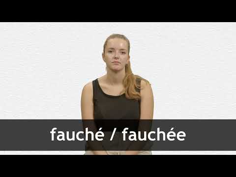 English Translation of “FAUCHÉ” | Collins French-English Dictionary