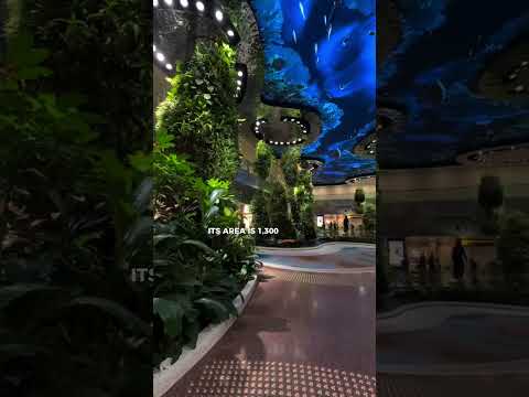 The most beautiful and expensive airport in the world #facts #travel #interesting