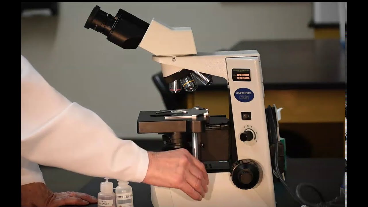 Using a Brightfield Microscope