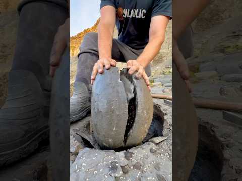 A HUGE nodule, a squid-like creature & a gorgeous calcite cephalopod! ๐ An incredible fossil hunt๐ซฃ