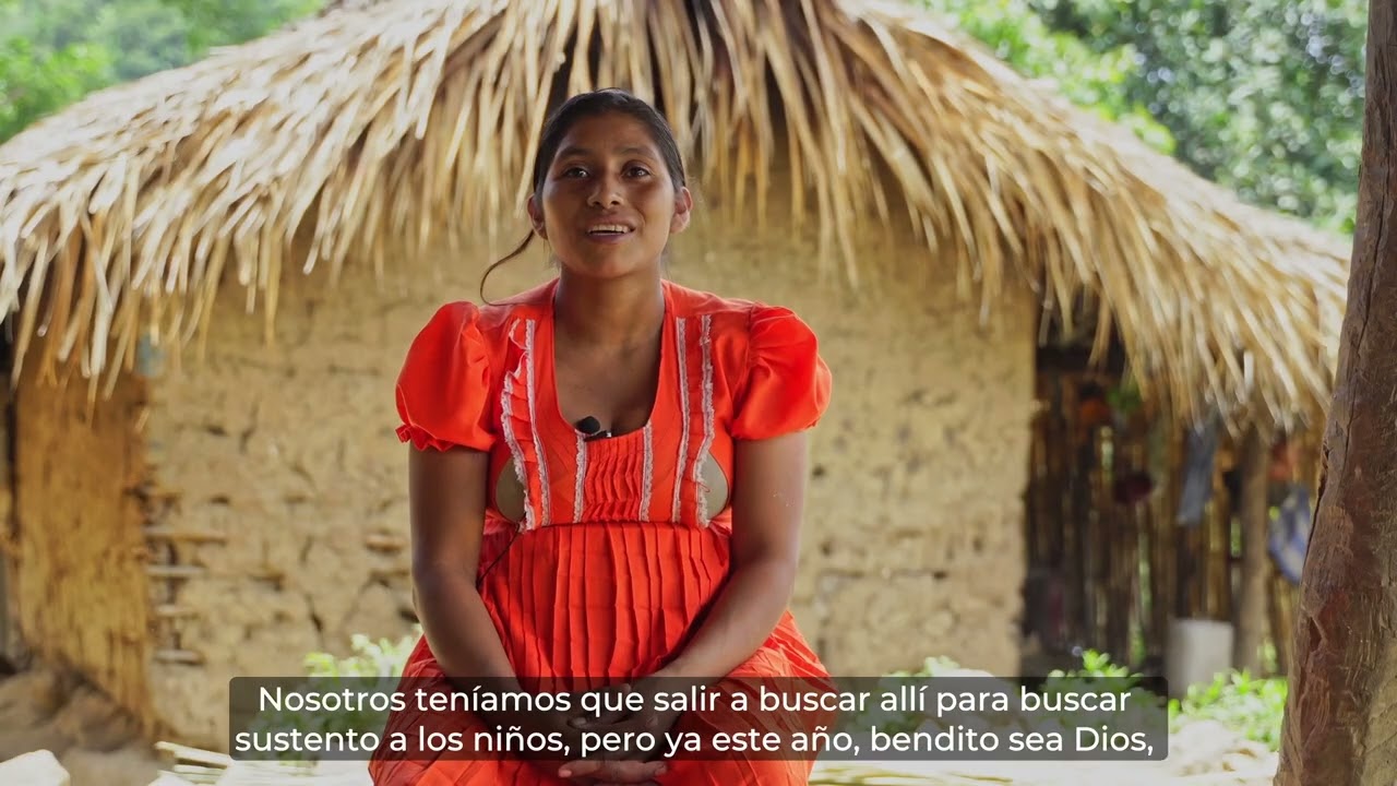 AUMENTAMOS LA SEGURIDAD ALIMENTARIA DE POBLACIONES VULNERABLES EN HONDURAS Y GUATEMALA